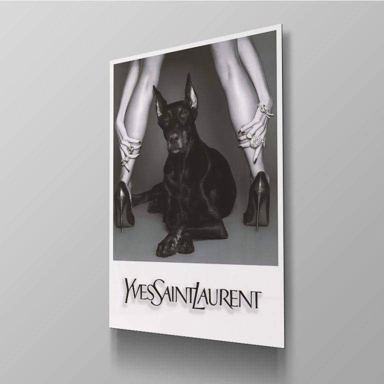 YSL Dog plexiglas schilderij » XCLUSSO