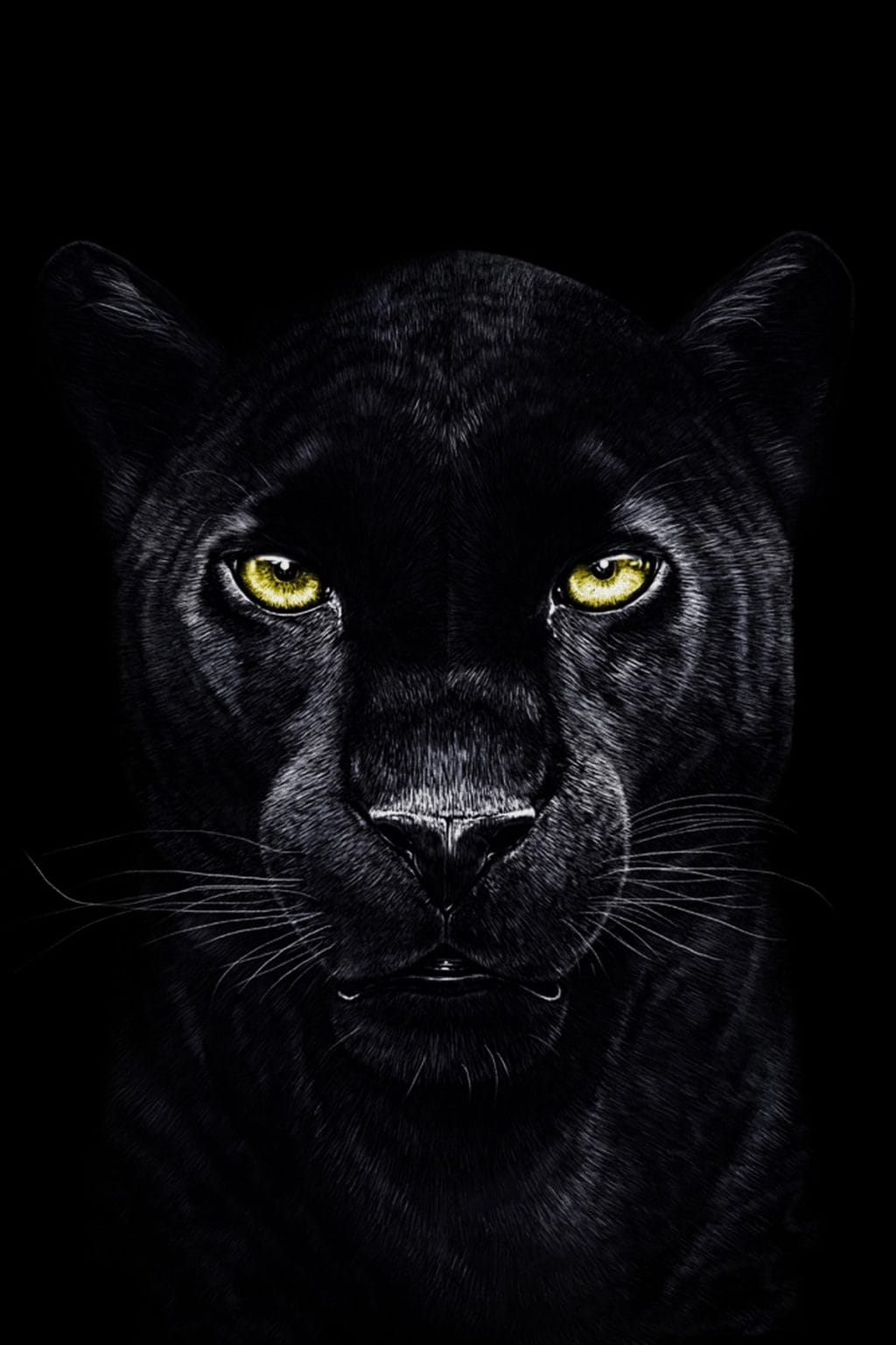 Black panther plexiglas schilderij » XCLUSSO